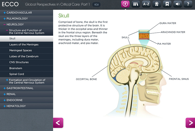 Start a Free 14-Day Trial of ECCO - AACN